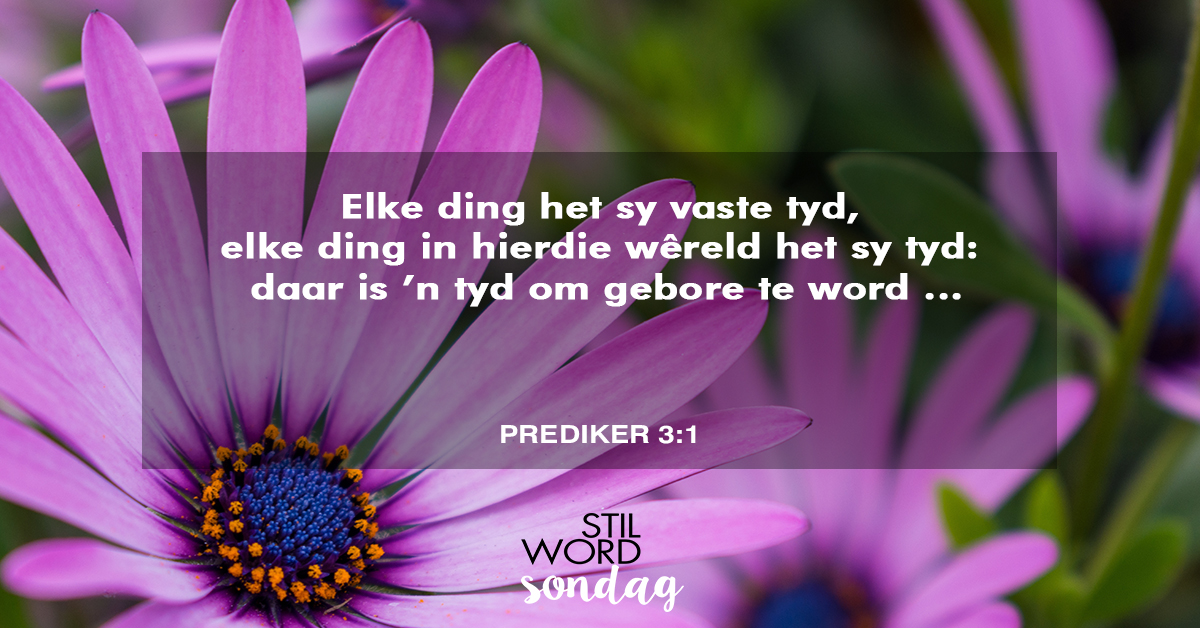 Maak elke seisoen die mooiste een - Voelgoed